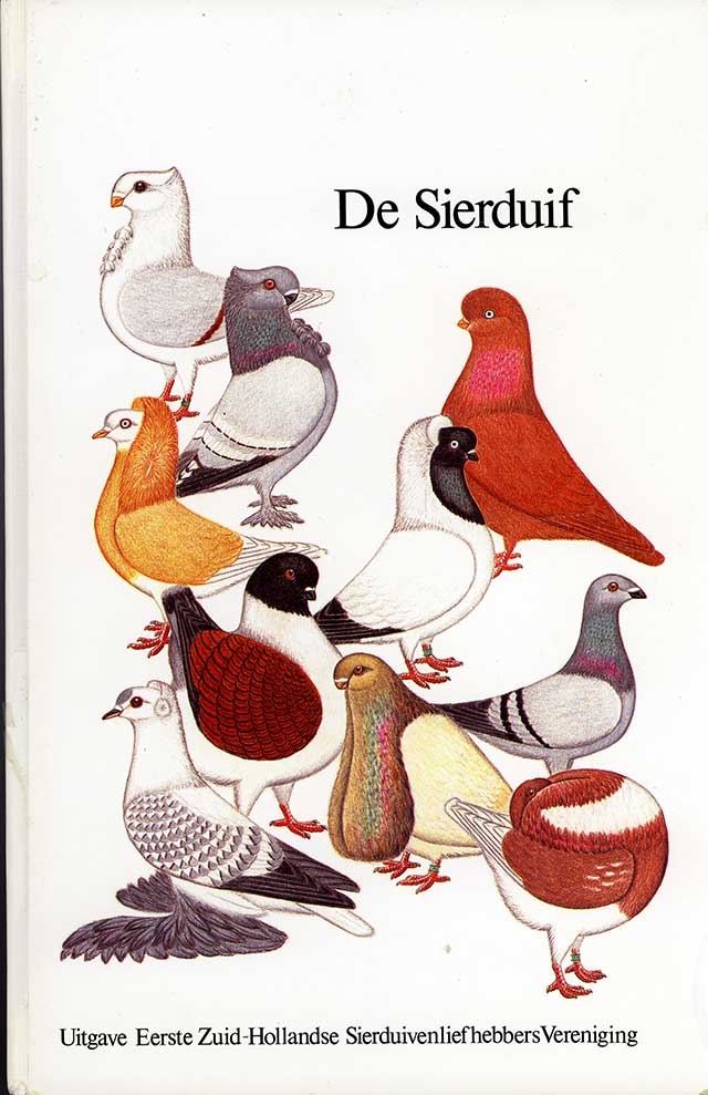 Pigeoncote blank setup page